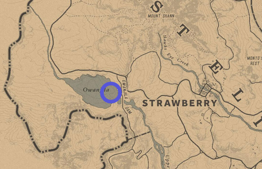 Red Dead Redemption 2 Legendary Fish Locations Guide