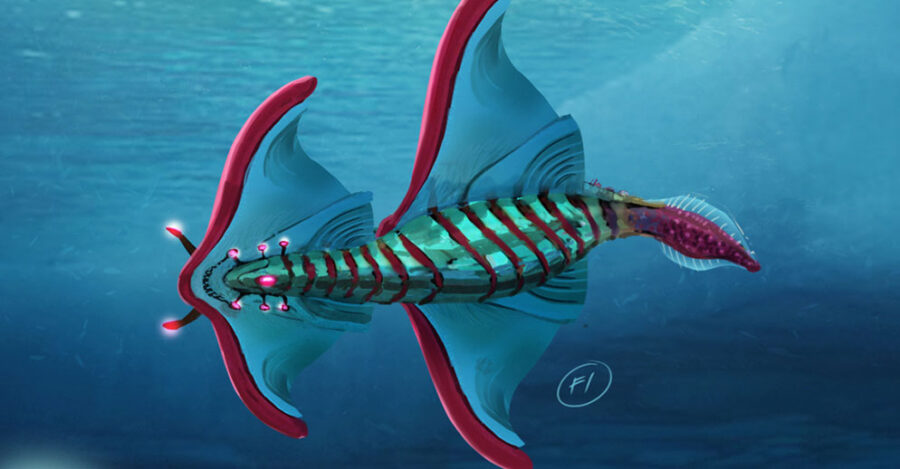 Subnautica: Below Zero Guide - Release Date, Early Access, FAQ - Pro ...