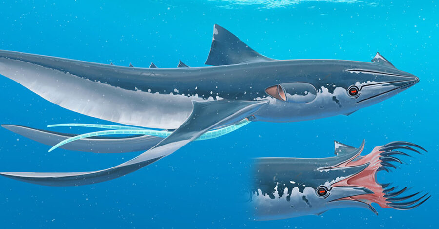 Subnautica: Below Zero Guide - Release Date, Early Access, FAQ - Pro ...