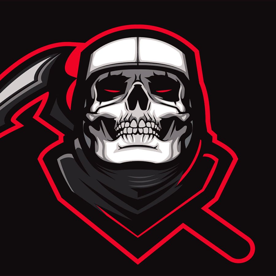 Fortnite Skull Squad Set - Pro Game Guides