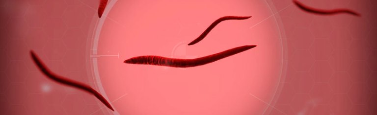 Plague Inc. Prion Normal Guide - Tips on How-to Beat Prion! - Pro Game ...