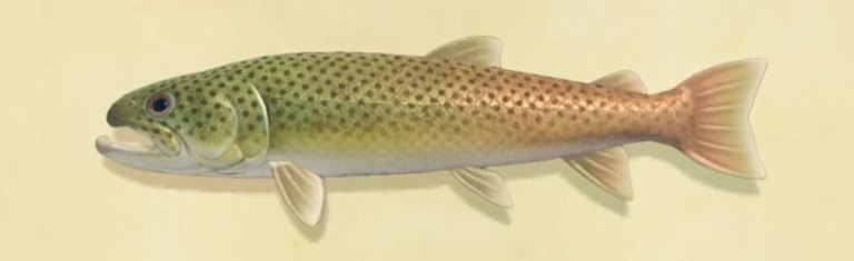 Animal Crossing New Horizons - How to Catch a Stringfish | Pro Game Guides