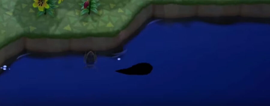 Animal Crossing New Horizons - How to Catch a Snapping Turtle - Pro ...