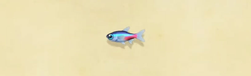How to Catch a Neon Tetra - Animal Crossing New Horizons | Pro Game Guides