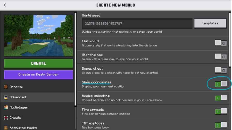How to show coordinates in Minecraft Java and Bedrock (2025) | Pro Game ...