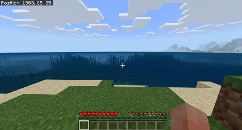 How To Show Coordinates In Minecraft Java Windows 10 And Bedrock