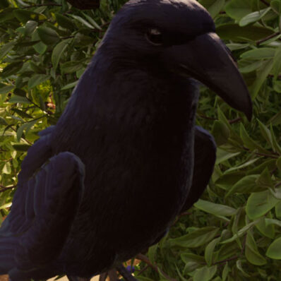 Grounded Patch Notes (August 2021) - Pro Game Guides