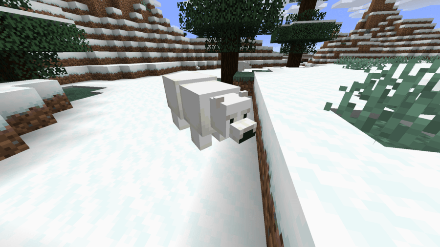 How to tame a polar bear in Minecraft | Pro Game Guides
