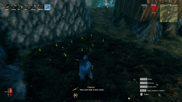 How and where to plant seeds in Valheim | Pro Game Guides