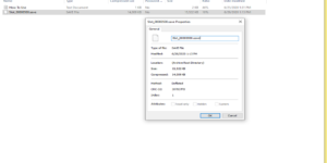 How to Download lilsimsie's Save File - Pro Game Guides