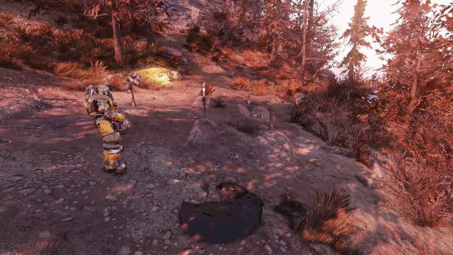Fallout 76 wolf locations - Where to find? | Pro Game Guides
