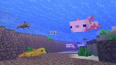 All Axolotl Colors in Minecraft - Pro Game Guides