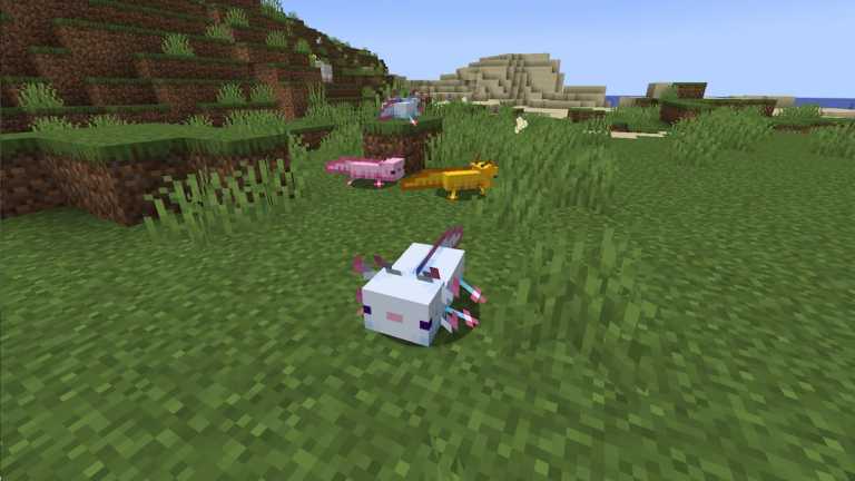 All axolotl colors in Minecraft | Pro Game Guides