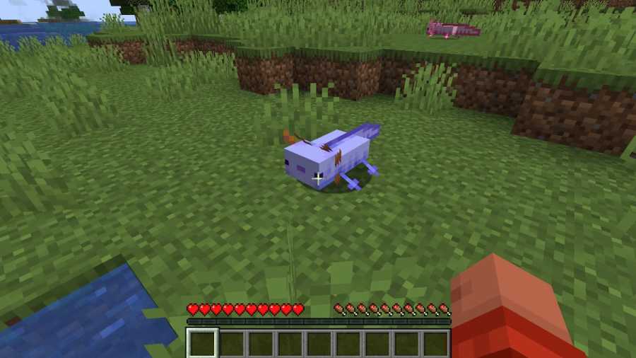 All axolotl colors in Minecraft | Pro Game Guides