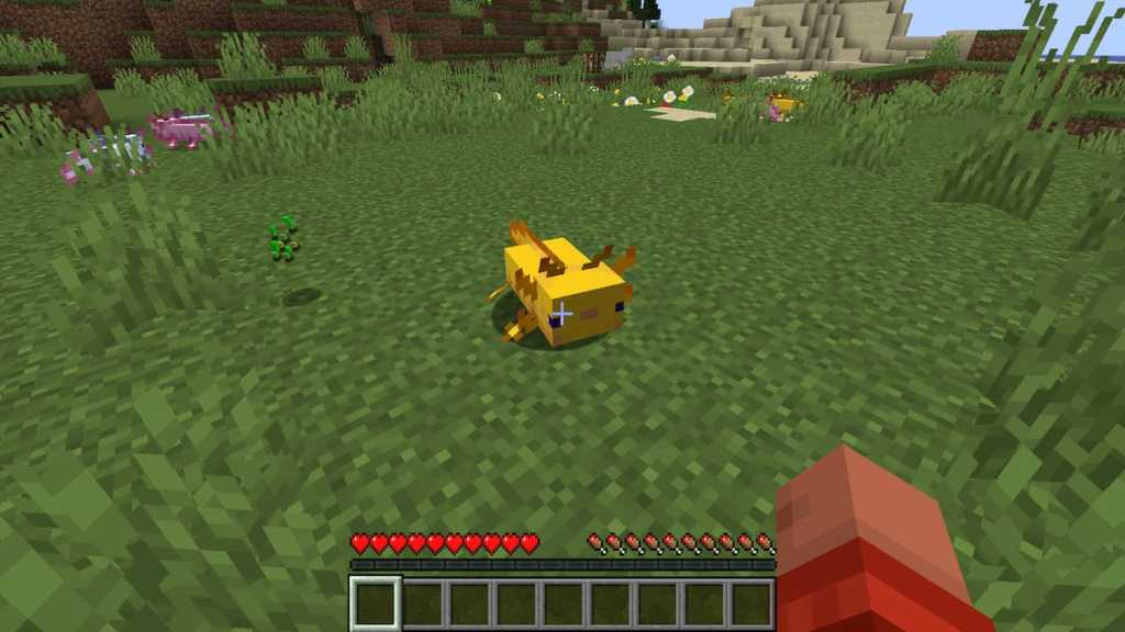 All axolotl colors in Minecraft | Pro Game Guides