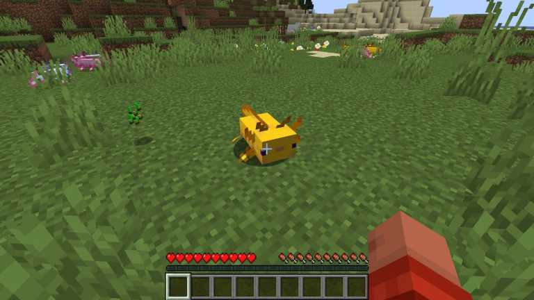 All axolotl colors in Minecraft | Pro Game Guides