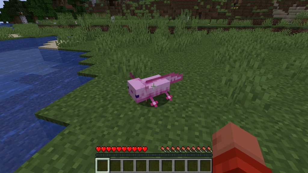 All axolotl colors in Minecraft | Pro Game Guides