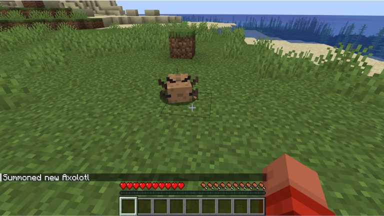 All axolotl colors in Minecraft | Pro Game Guides