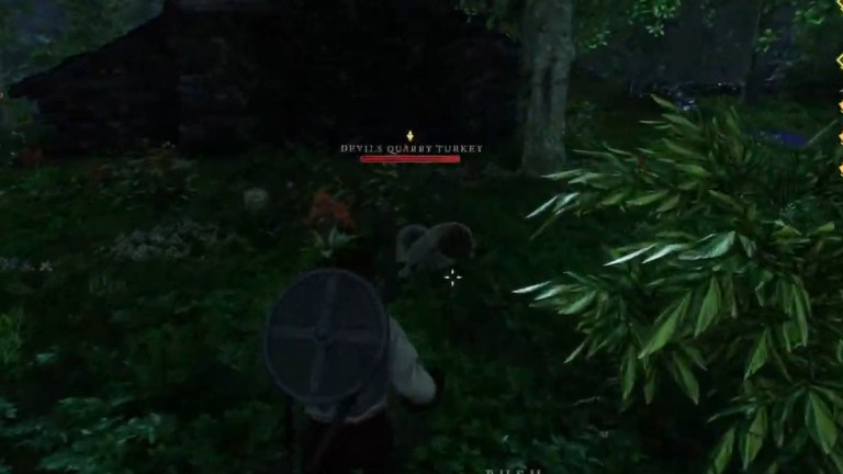Where to find Turkey in New World | Pro Game Guides
