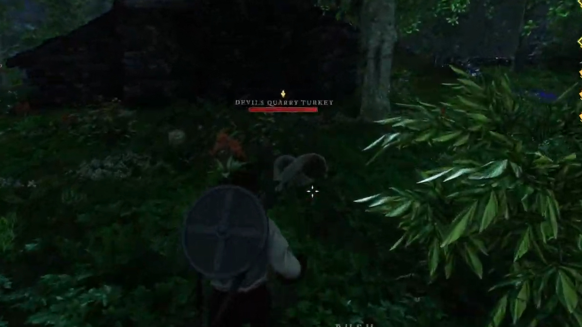 Where to find Turkey in New World | Pro Game Guides