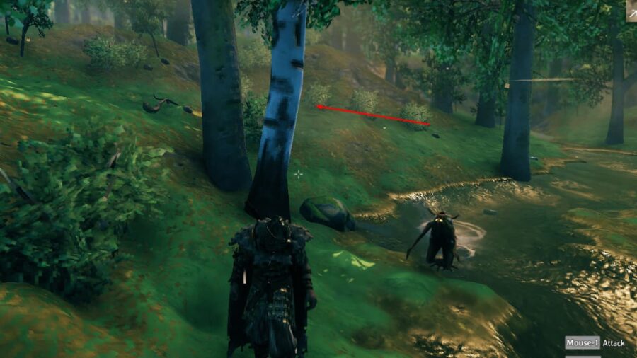 Where and how to get and grow Birch seeds in Valheim - Pro Game Guides