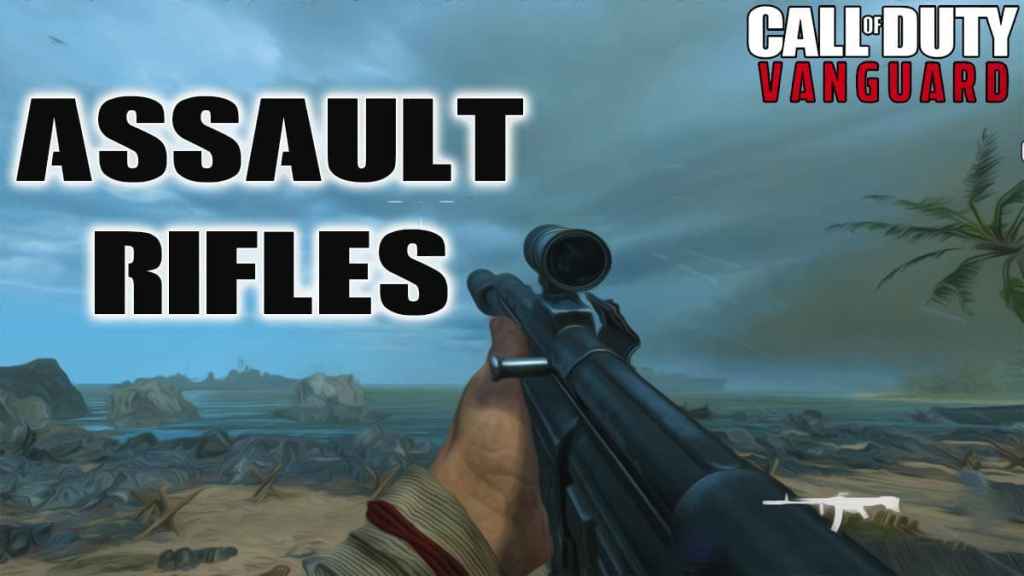 All Assault Rifles and attachments in Call of Duty: Vanguard | Pro Game ...