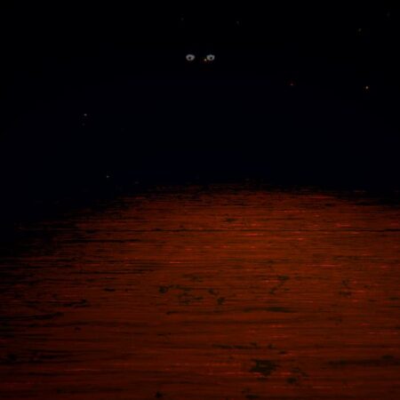 How to beat the Trapper and Trader in Inscryption - Pro Game Guides