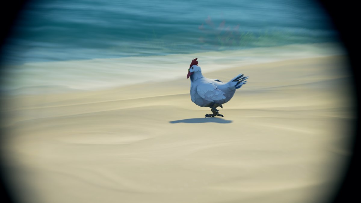 All Animal Locations in Sea of Thieves | Pro Game Guides