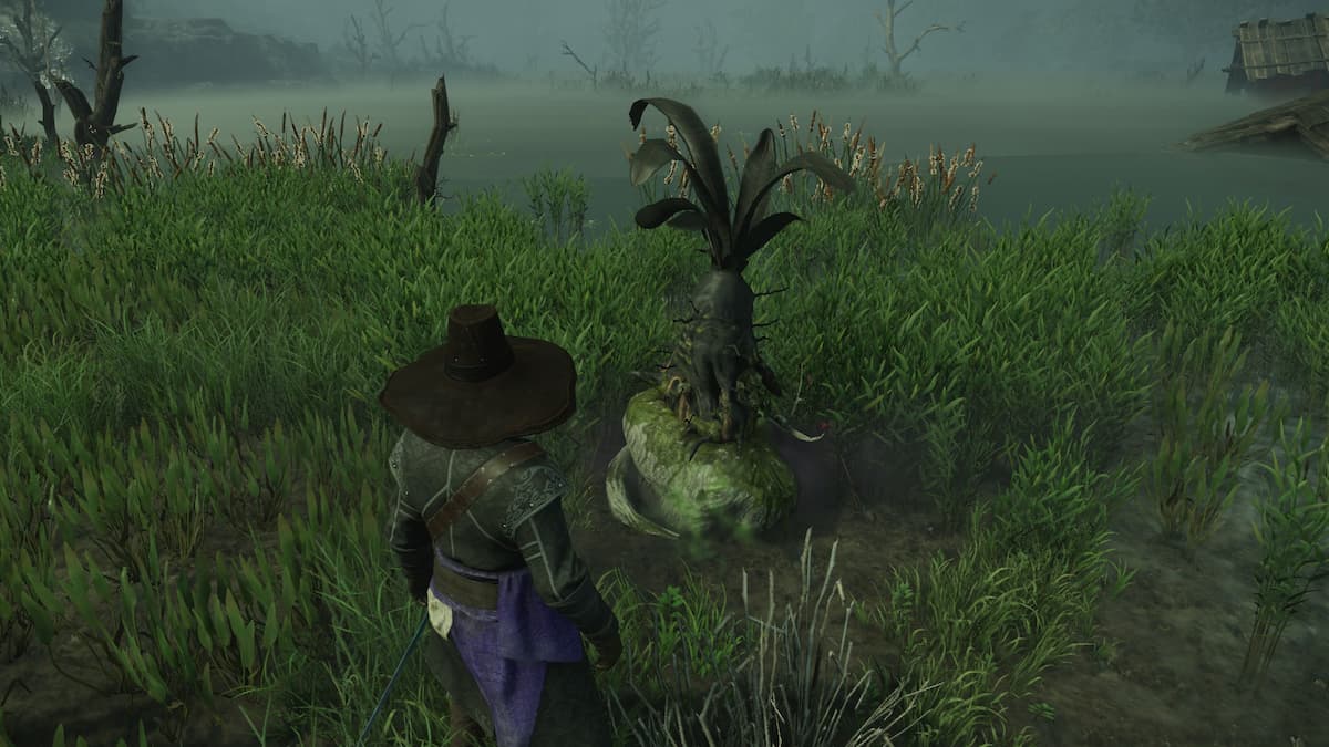 How to get Death Motes in New World | Pro Game Guides