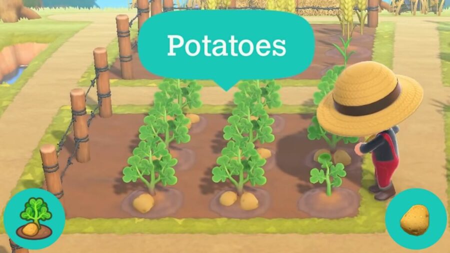 All Crops in Animal Crossing: New Horizons - Pro Game Guides