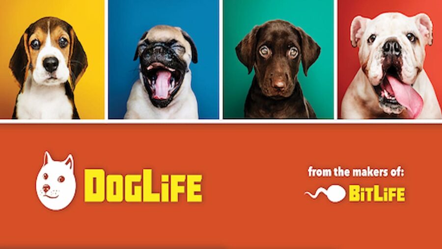 DogLife - Pro Game Guides
