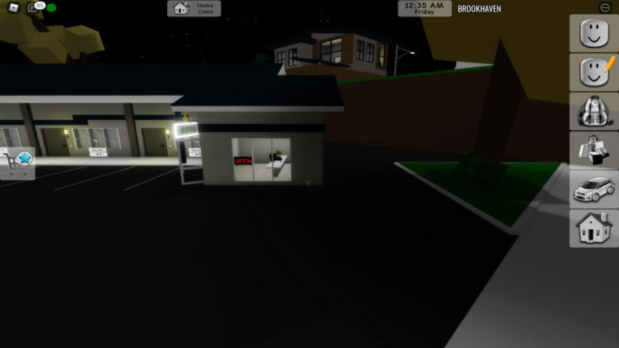 How to be invisible in Roblox Brookhaven? - Pro Game Guides