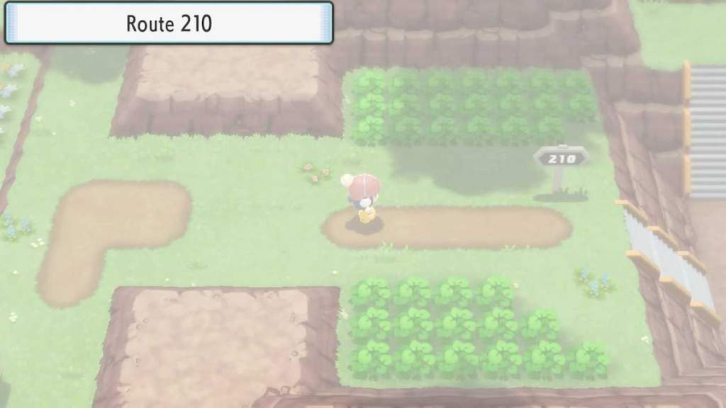 Where to get Defog in Pokémon Brilliant Diamond and Shining Pearl | Pro ...