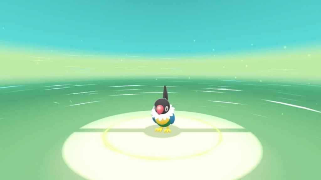 Where to find Chatot in Pokémon Brilliant Diamond and Shining Pearl ...