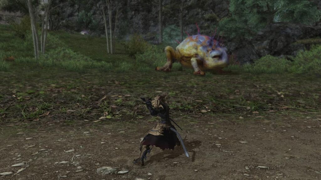 How to find Luncheon Toad Skin in Final Fantasy XIV Endwalker - Pro ...