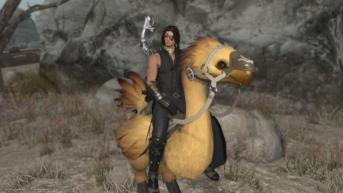 Final Fantasy XIV: How to obtain a Companion | Pro Game Guides
