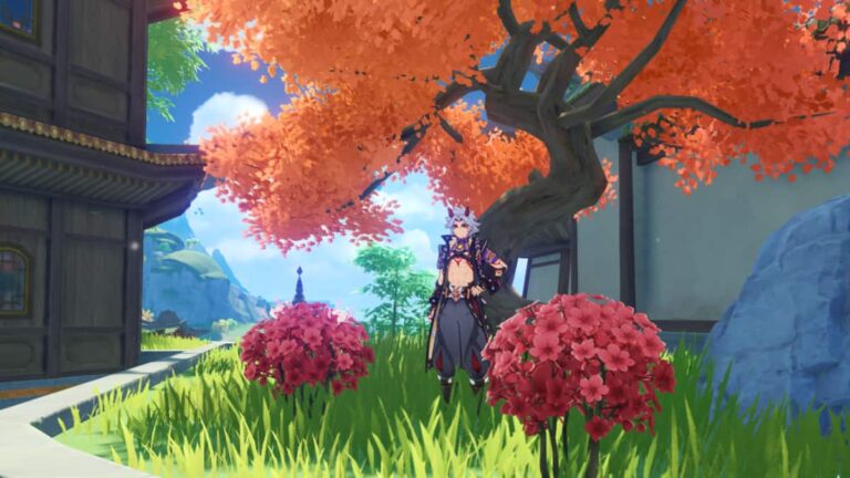 How to get seeds in Genshin Impact - Pro Game Guides