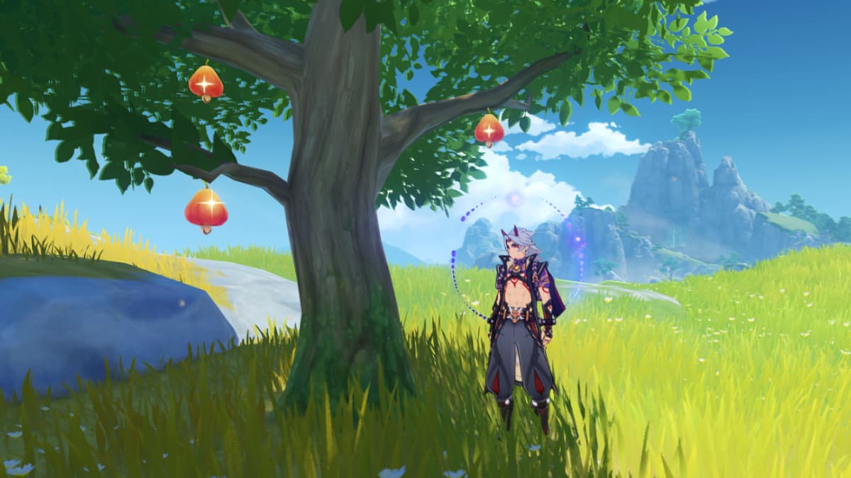Where to find Sunsettias in Genshin Impact | Pro Game Guides