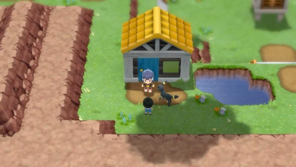 How to get every Pokétch app in Pokémon Brilliant Diamond and Shining ...