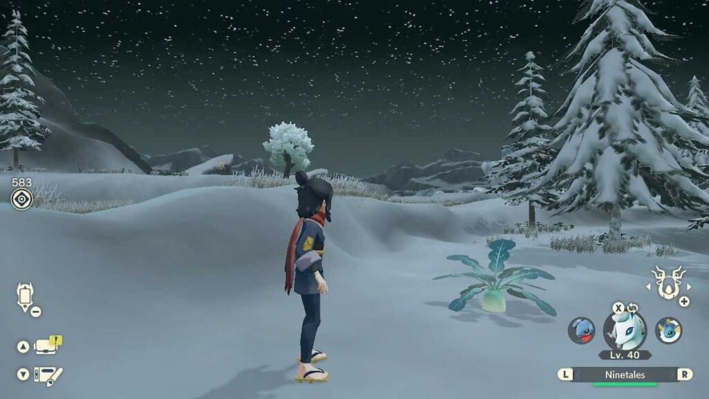 Where to get Sand Radish in Pokémon Legends: Arceus? - Pro Game Guides