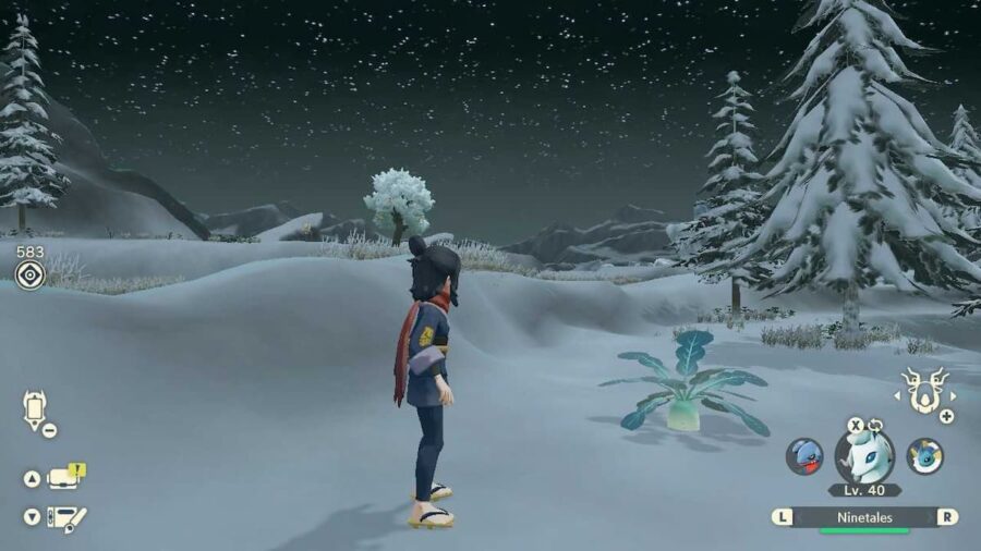 Where to get Sand Radish in Pokémon Legends: Arceus? - Pro Game Guides