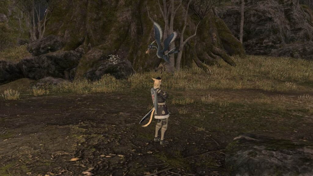 Where are the Arbor Buzzards in FFXIV - Pro Game Guides