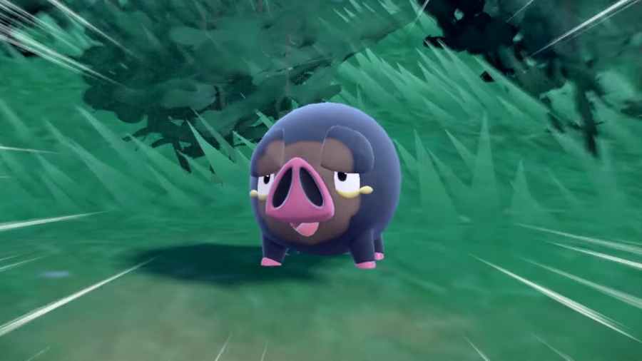 Pokemon Scarlet and Violet Lechonk Evolution Leaks | Pro Game Guides