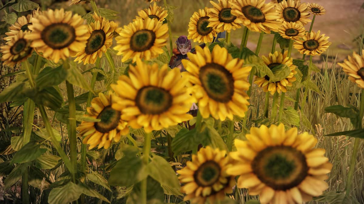 All Mokoko Seed locations on Sunflower Island in Lost Ark | Pro Game Guides