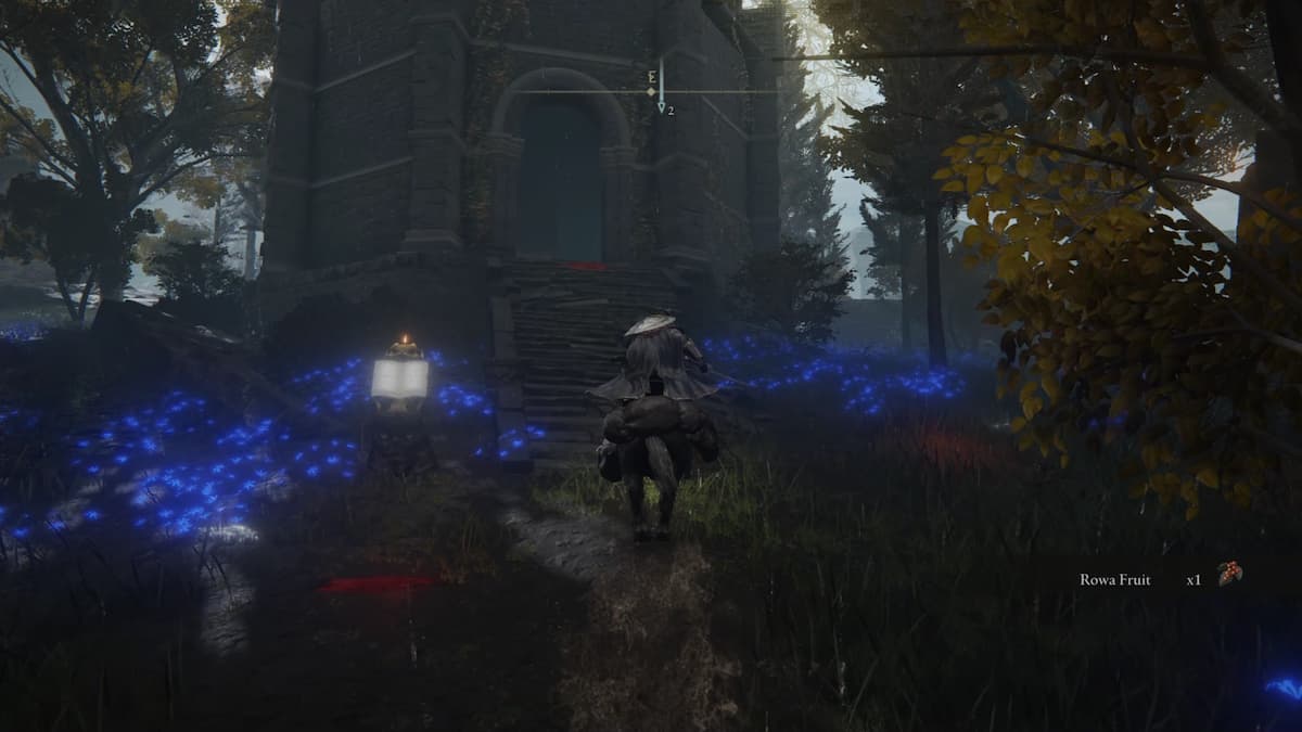 How to complete Testu's Rise Tower in Elden Ring | Pro Game Guides