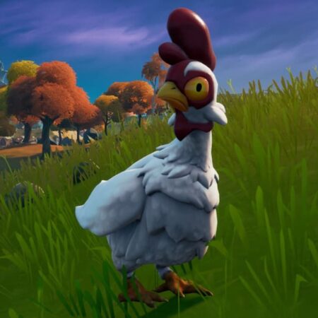 Fortnite Patch Skin - Character, PNG, Images - Pro Game Guides