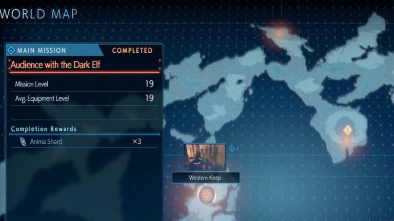 What are Anima Shards and what do they do in Stranger of Paradise ...