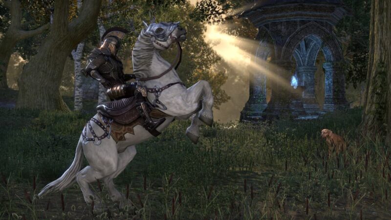 Elder Scrolls Online Step-By-step Guide: How to play ESO in ...