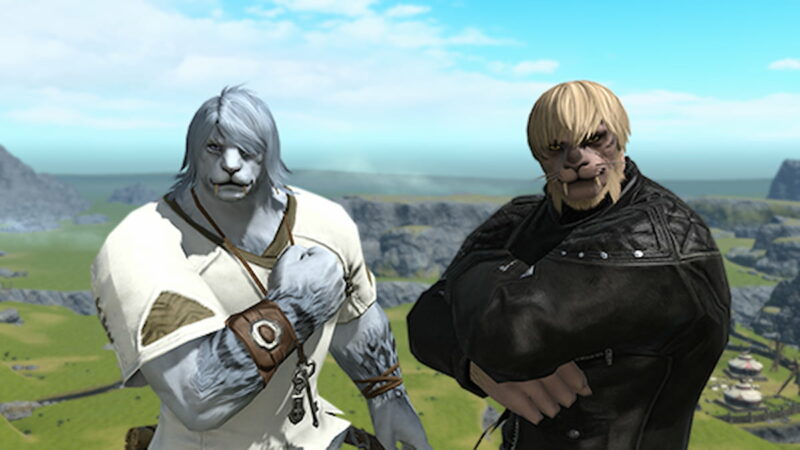 All New Hairstyles in Final Fantasy XIV Patch 6.1 - Pro Game Guides