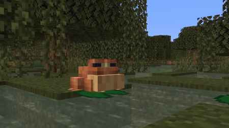 Are there Toads in Minecraft? | Pro Game Guides